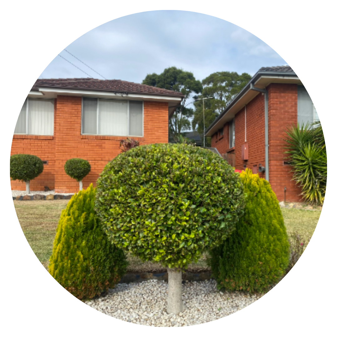 Residential Services - Jason Lawn Mowing Services