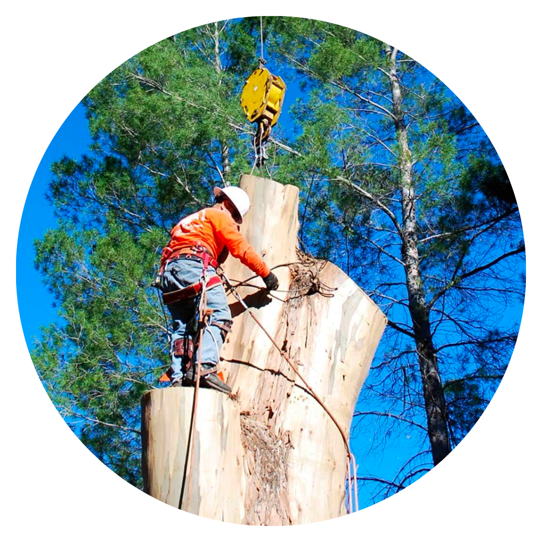 Commercial Services - Jason Lawn Mowing Services