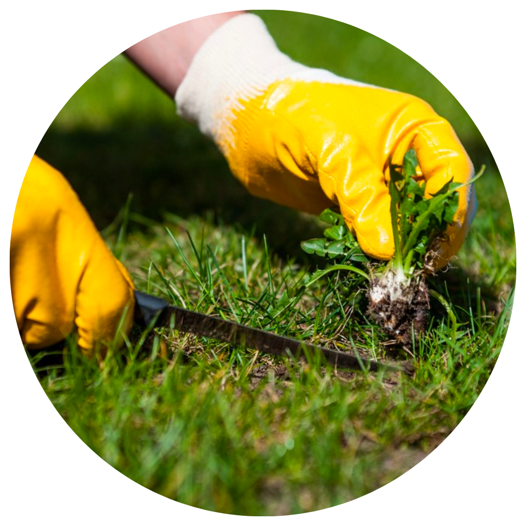 Residential Services - Jason Lawn Mowing Services